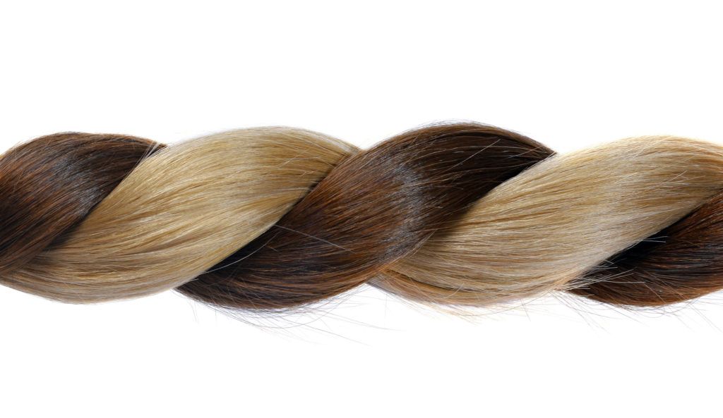 Die Haarstruktur: Aufbau der Haare erklärt | Bella Bellice